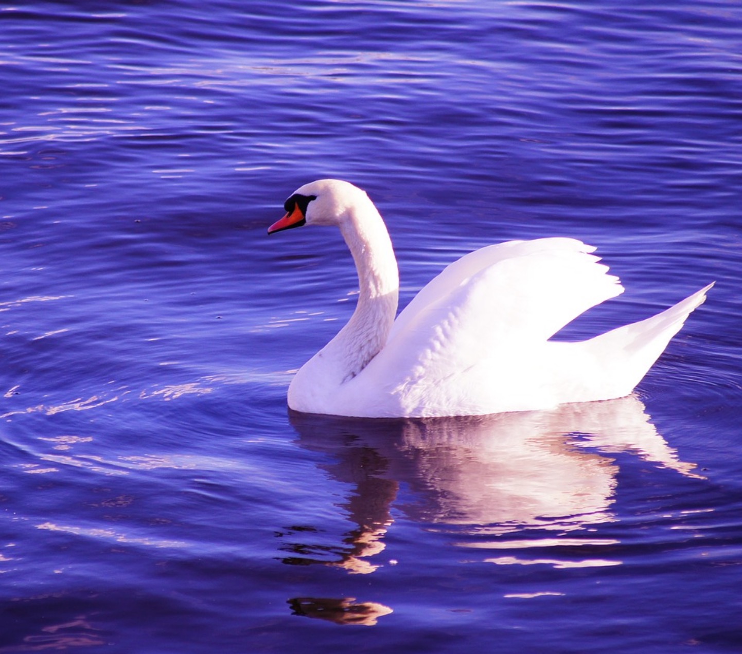 Amsha rulers Jyotish Vedic astrology